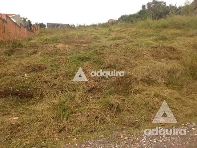 Terreno em Uvaranas, Ponta Grossa/PR de 462m² à venda por R$ 79.900,00