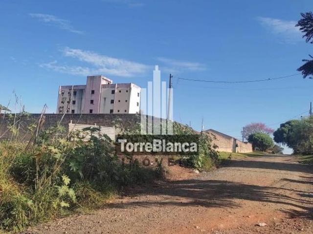 Terreno em Uvaranas, Ponta Grossa/PR de 70m² à venda por R$ 250.000,00