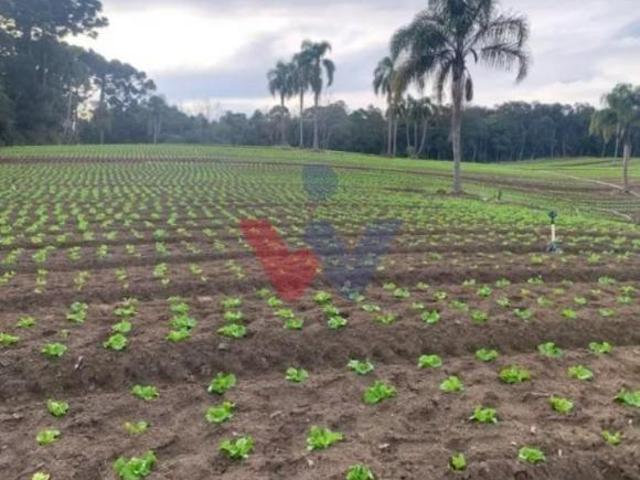 Terreno em Umbará, Curitiba/PR de 21000m² à venda por R$ 4.990.000,00