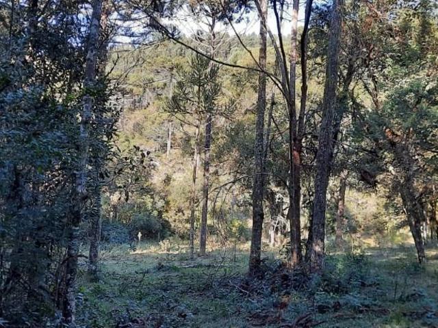 Terreno em, Urubici/SC de 0m² à venda por R$ 454.000,00