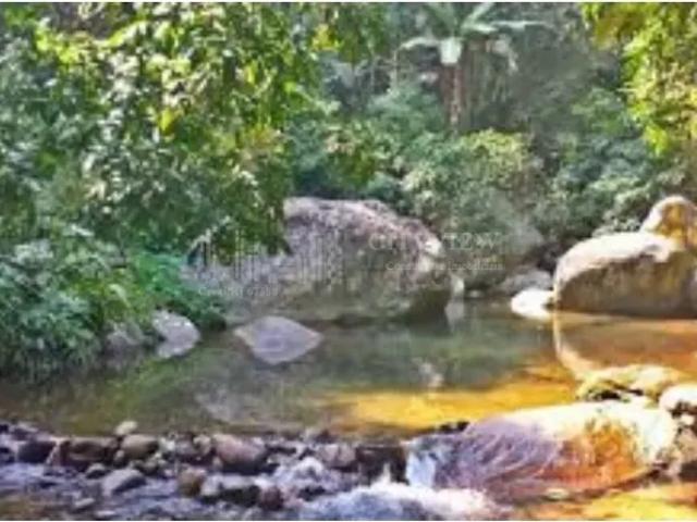 Terreno em vargem grande