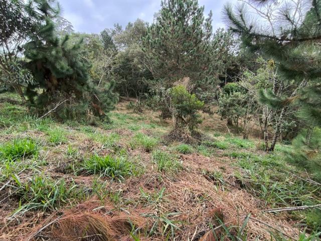 Terreno em, Vargem Grande Paulista/SP de 0m² à venda por R$ 209.000,00