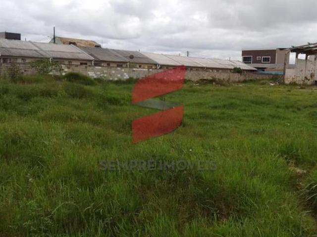 Terreno em Vargem Grande, Pinhais/PR de 3850m² à venda por R$ 2.650.000,00