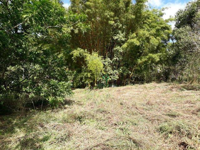 Terreno em Vargem Grande, Teresópolis/RJ de 0m² à venda por R$ 499.900,00