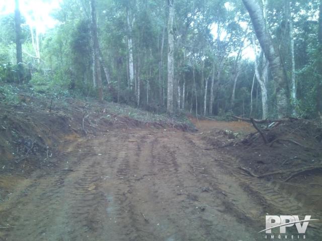 Terreno em Várzea, Teresópolis/RJ de 5624m² à venda por R$ 389.000,00