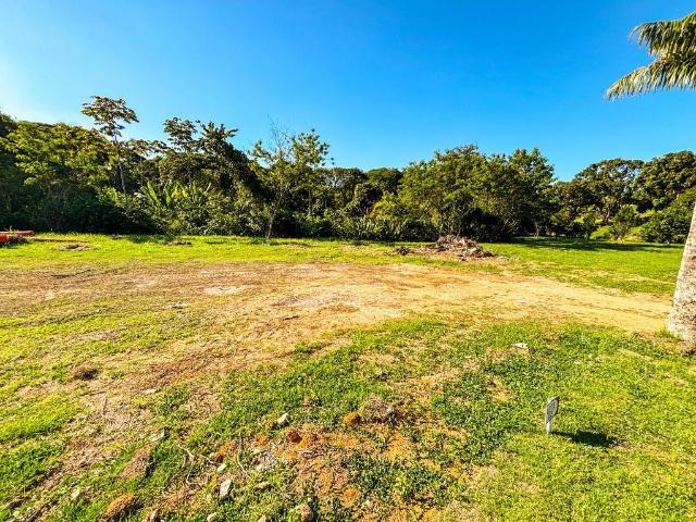 Terreno em Várzea das Moças, Niterói/RJ de 0m² à venda por R$ 293.000,00
