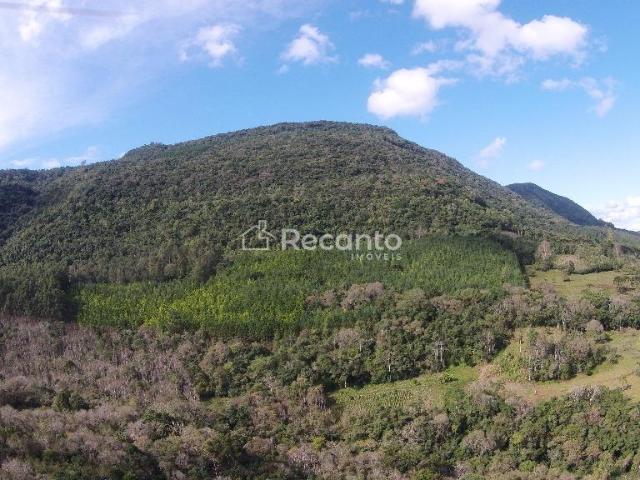 Terreno em, / de 5000m² à venda por R$ 7.999.900,00