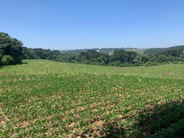 Terreno em Veneza, Fazenda Rio Grande/PR de 30000m² à venda por R$ 5.200.000,00