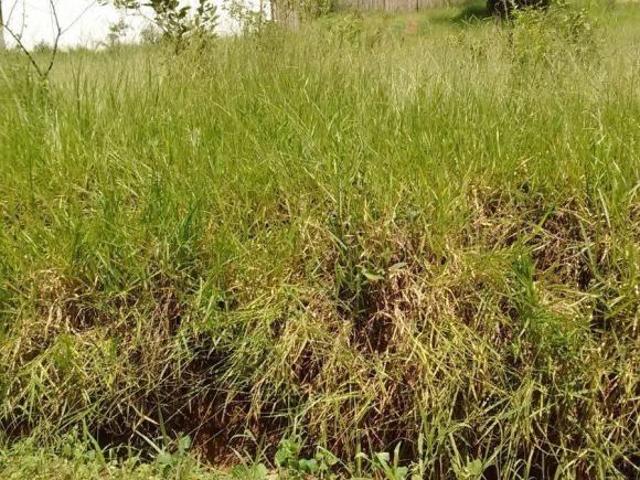 Terreno em Veraneio Ijal, Jacareí/SP de 0m² à venda por R$ 125.000,00