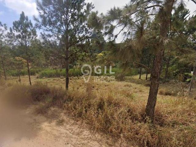 Terreno em Veraneio Ijal, Jacareí/SP de 9198m² à venda por R$ 460.000,00