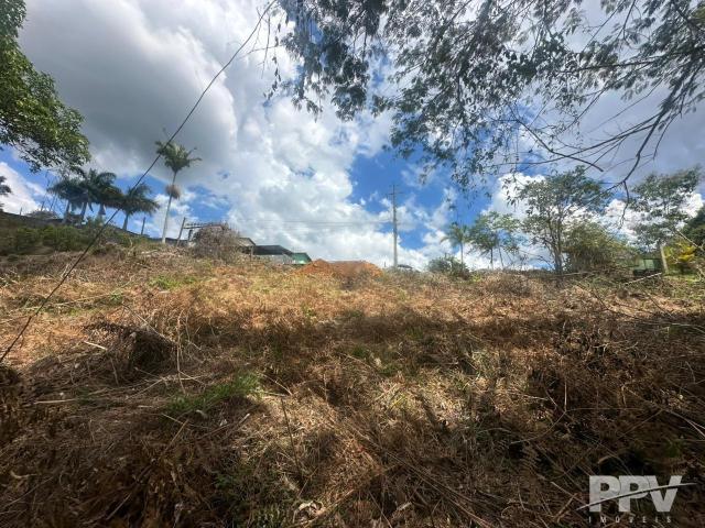Terreno em Vieira, Teresópolis/RJ de 1200m² à venda por R$ 109.900,00