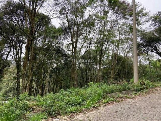 Terreno em Vila Cedro, Canela/RS de 611m² à venda por R$ 371.000,00