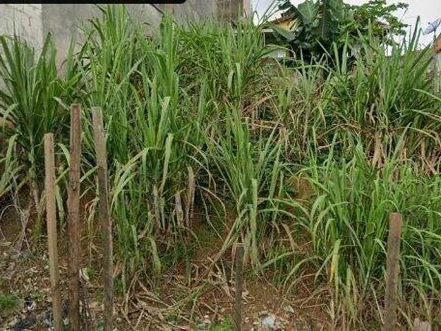 Terreno em Vila Ana, Mauá/SP de 166m² à venda por R$ 209.000,00