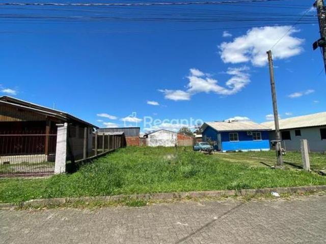 Terreno em Vila Dante, Canela/RS de 300m² à venda por R$ 350.000,00
