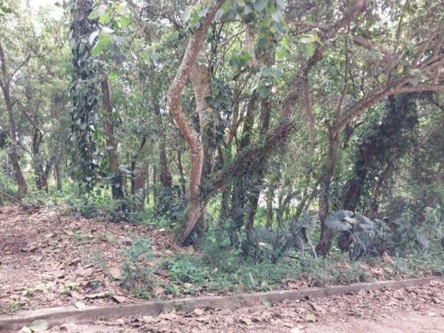 Terreno em Vila Diva, Carapicuíba/SP de 0m² à venda por R$ 360.000,00