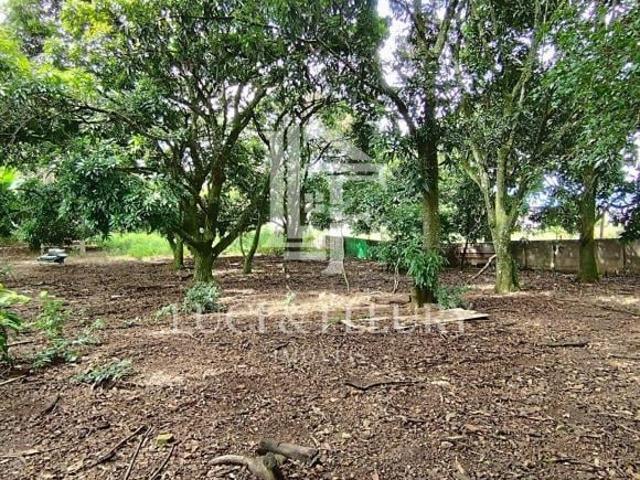Terreno em Vila Jayara, Anápolis/GO