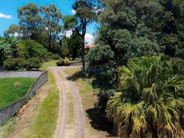 Terreno em Vila Otto, Campo Largo/PR
