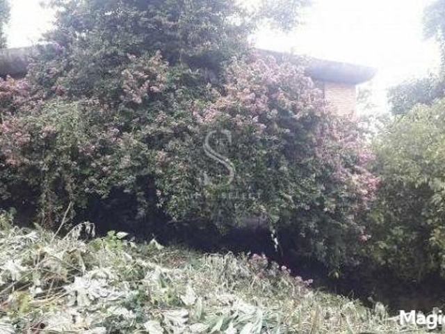 Terreno em Vila Morumbi, São Paulo/SP de 725m² à venda por R$ 724.900,00