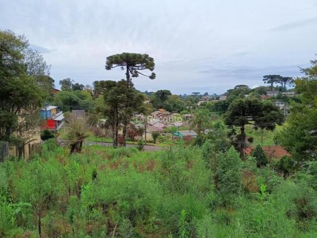 Terreno em Vila Maggi, Canela/RS de 1235m² à venda por R$ 900.000,00