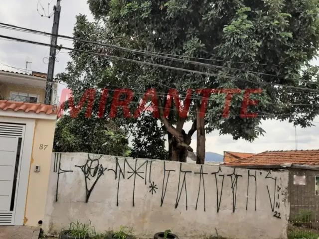 Terreno em Vila Nivi