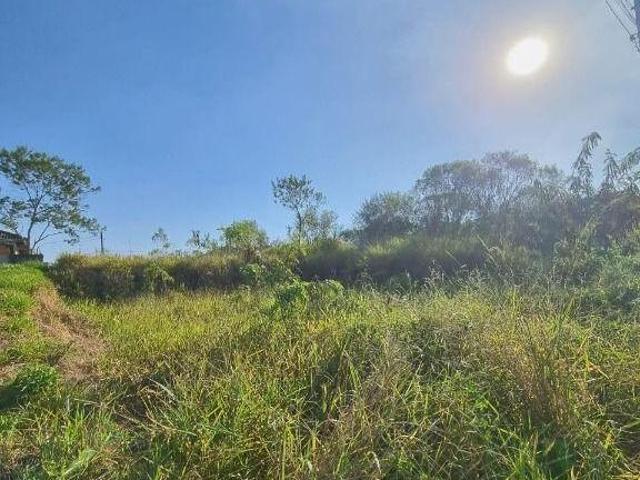 Terreno em Vila São Francisco, Cotia/SP de 0m² à venda por R$ 135.000,00