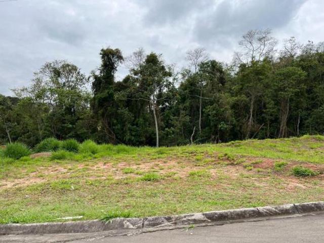 Terreno em Vila São Francisco, Cotia/SP de 0m² à venda por R$ 250.000,00