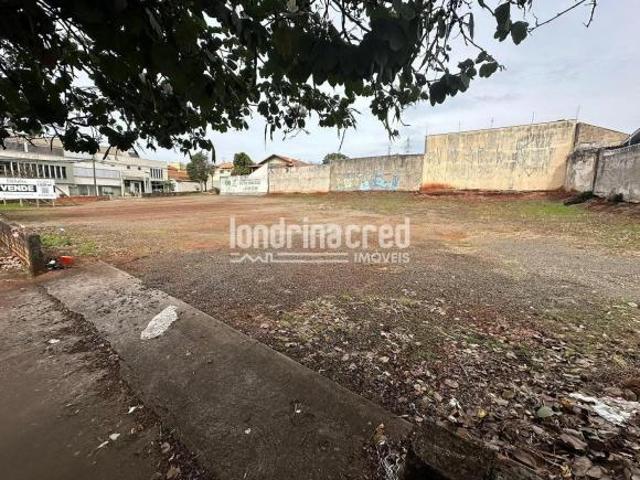 Terreno em Vila Siam, Londrina/PR de 10m² à venda por R$ 2.350.000,00