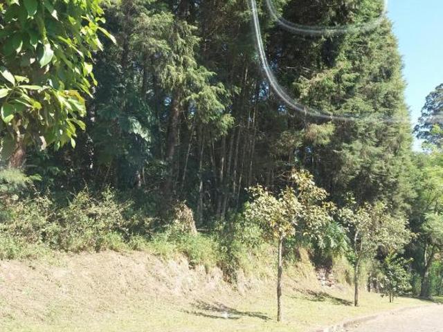Terreno em Vila Real do Moinho Velho, Embu das Artes/SP de 0m² à venda por R$ 330.000,00