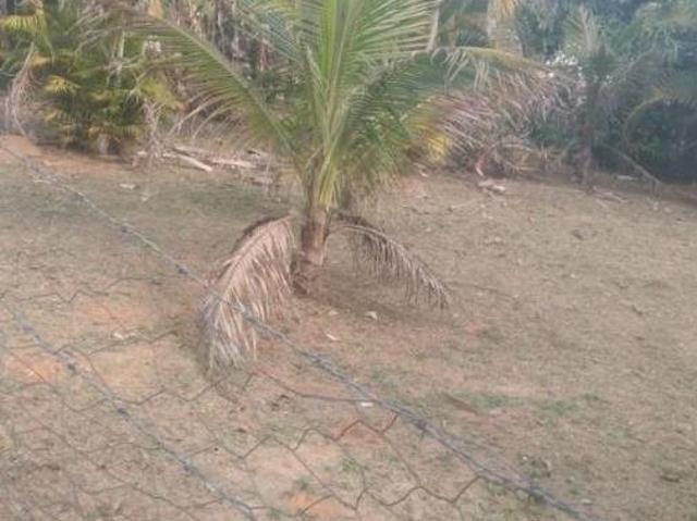 Terreno em Vila Velha II, Taubaté/SP de 1000m² à venda por R$ 120.000,00