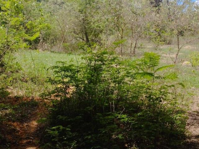 Terreno em Zona Rural, Brumadinho/MG de 10m² à venda por R$ 149.900,00
