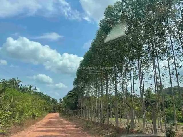 Terreno em Zona Rural, Demerval Lobão/PI de 10m² à venda por R$ 329.900,00