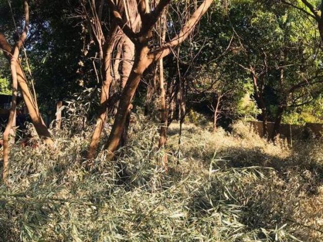 Terreno en Condomínio para venda em Chácaras Pedro Corrêa De Carvalho de 1300.00m²