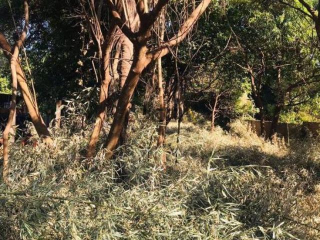 Terreno en Condomínio para venda em Chácaras Pedro Corrêa De Carvalho de 1300.00m²