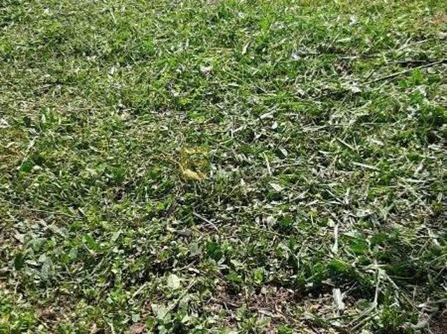 Terreno en Condomínio para venda em Condomínio Residencial Villa do Sol de 375.00m²