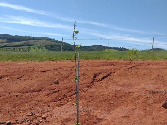 Terreno en Condomínio para venda em Chácaras Cataguá em Taubaté São Paulo de 250.00m²