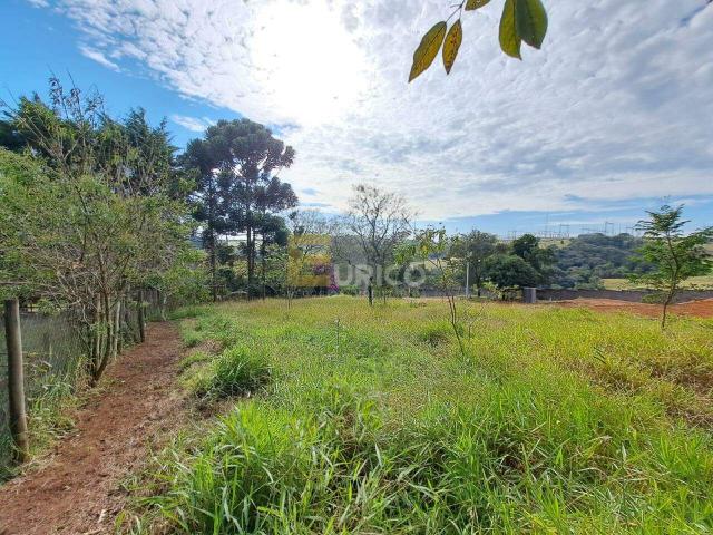 Terreno en Condomínio para venda em Jardim São Bento Do Recreio em Valinhos São Paulo de 1000.00m²