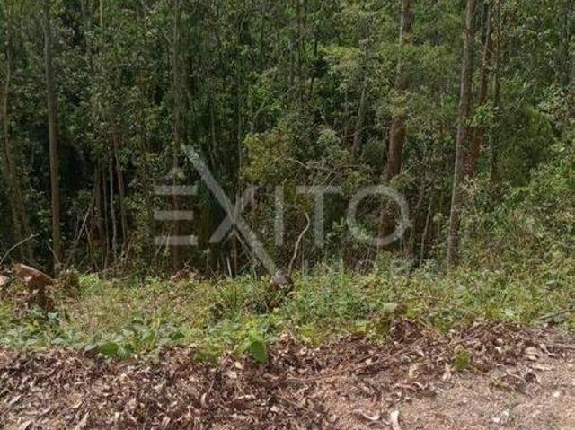 Terreno en Condomínio para venda em Loteamento Capital Ville de 588.00m²