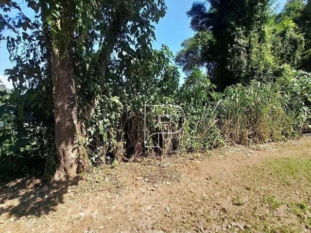 Terreno en Condomínio para venda em Nova Paulista de 300.00m²