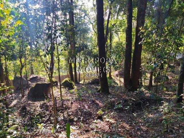 Terreno, Encosta Cantareira, Mairiporã, SP