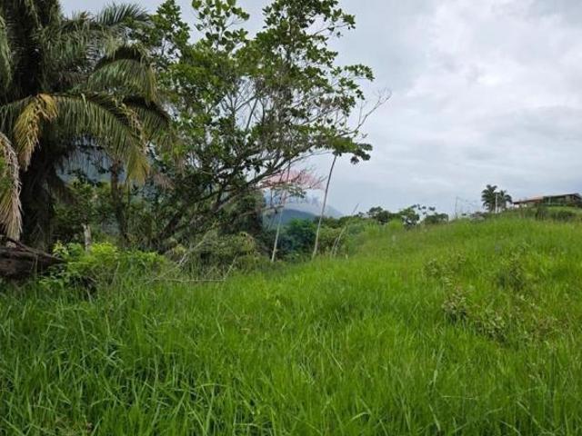 Terreno Espetacular em Ilhabela Oportunidade Única!