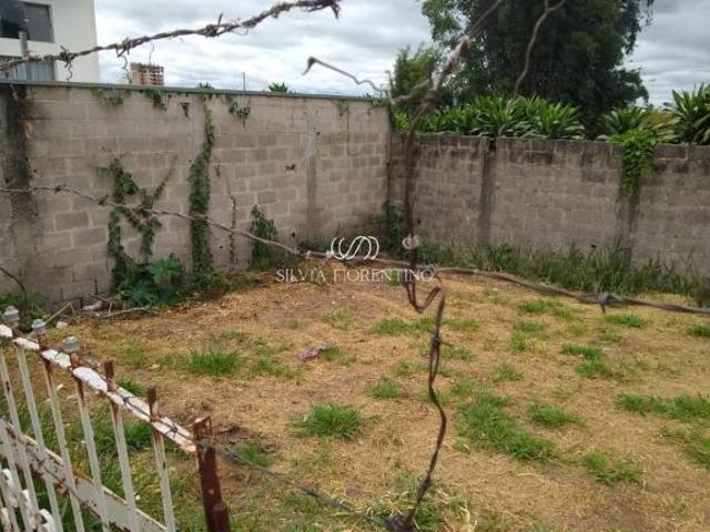 Terreno, Esplanada Independência, Taubaté, SP