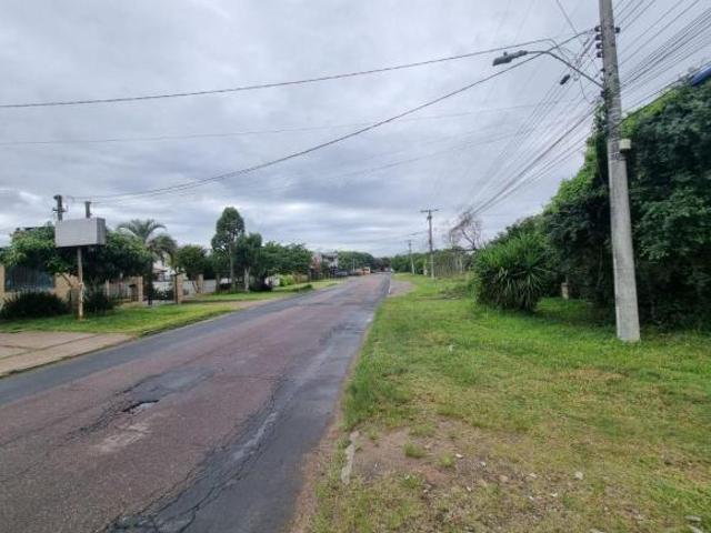 Terreno Estrada Ponta Grossa com 4.500 metros