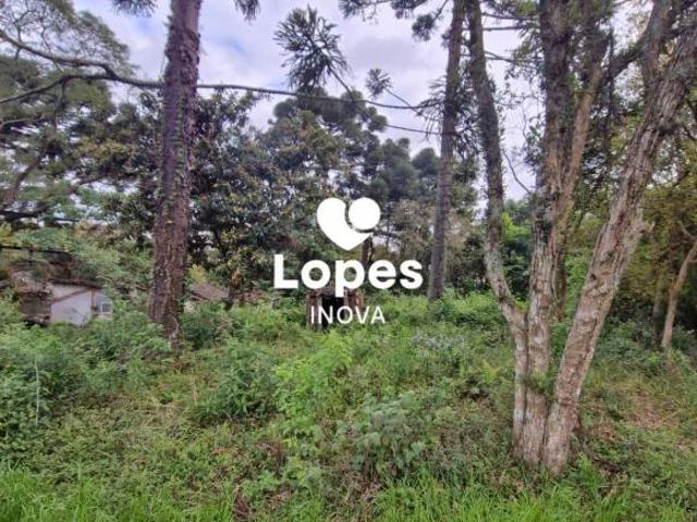 Terreno Estratégico na Rua Carlos Klemtz – 7.090m² no Fazendinha!