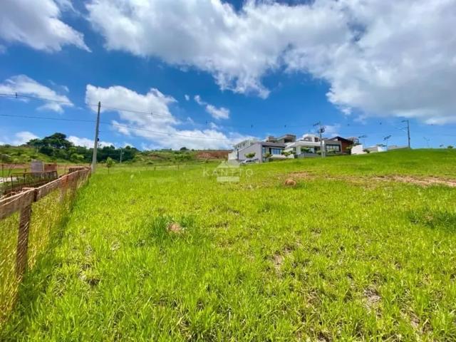 Terreno Estrela Alta à venda, 311 m² por R$ 399.000