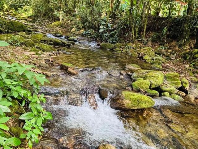 Terreno fundo pro rio