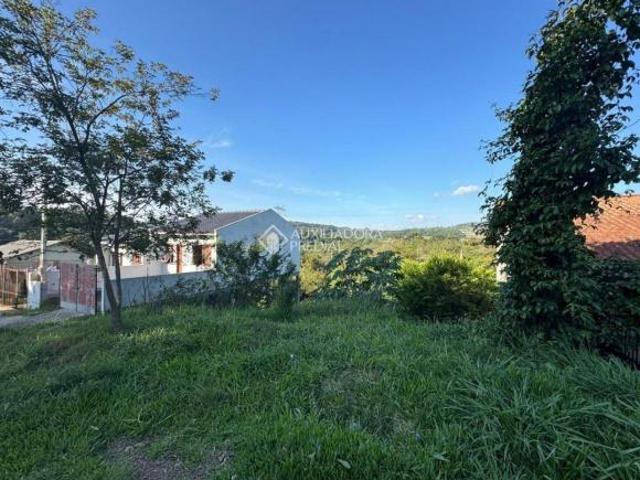 Terreno Fazenda São Borja com 360 m²
