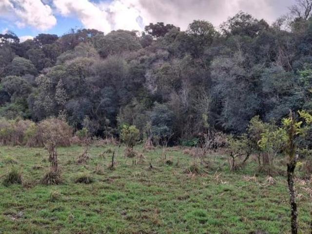 Terreno Fazendinha