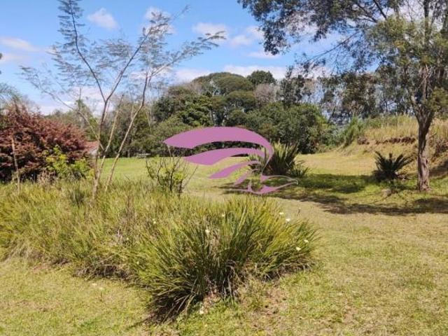 Terreno, Fazendinha, Campo Largo, PR