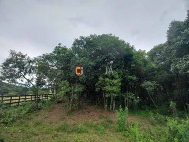 Terreno, Felpudo, Campo Largo, PR