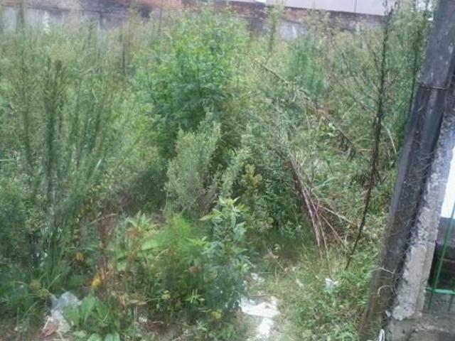 Terreno, Floresta, Caxias do Sul, RS